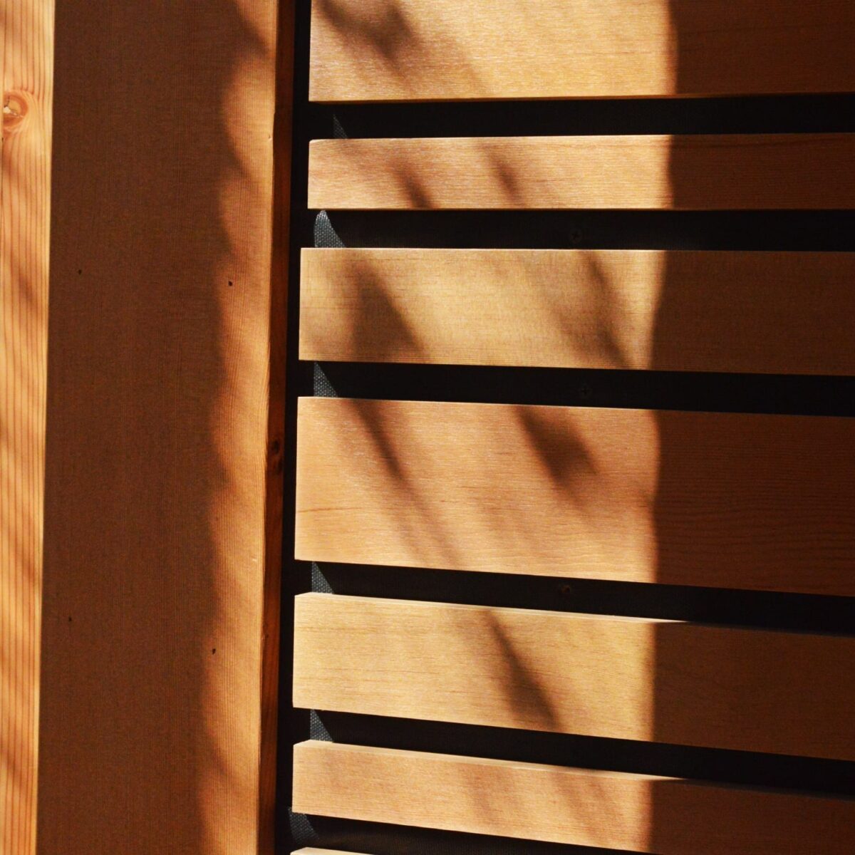 University of Oregon Allan Price Science Commons - 9Wood