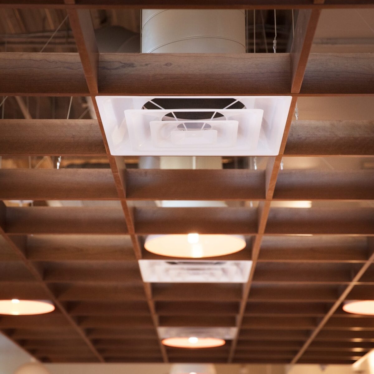 Loma Linda University Social Action Corps Health Systems - 9Wood