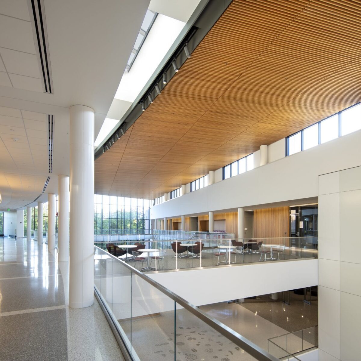 Michigan State University - Eli Broad College of Business - 9Wood