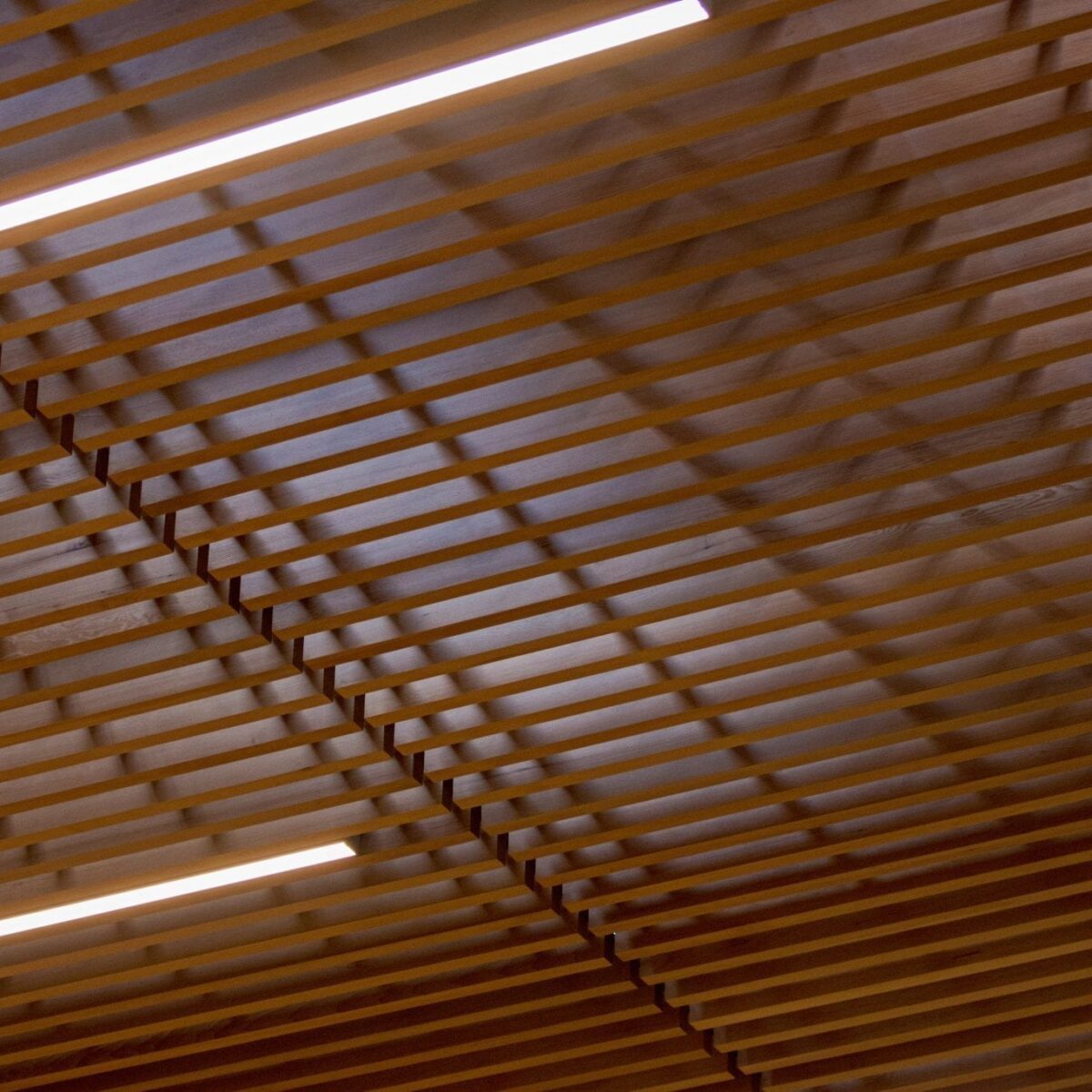 Portland Timbers Training Facility - 9Wood