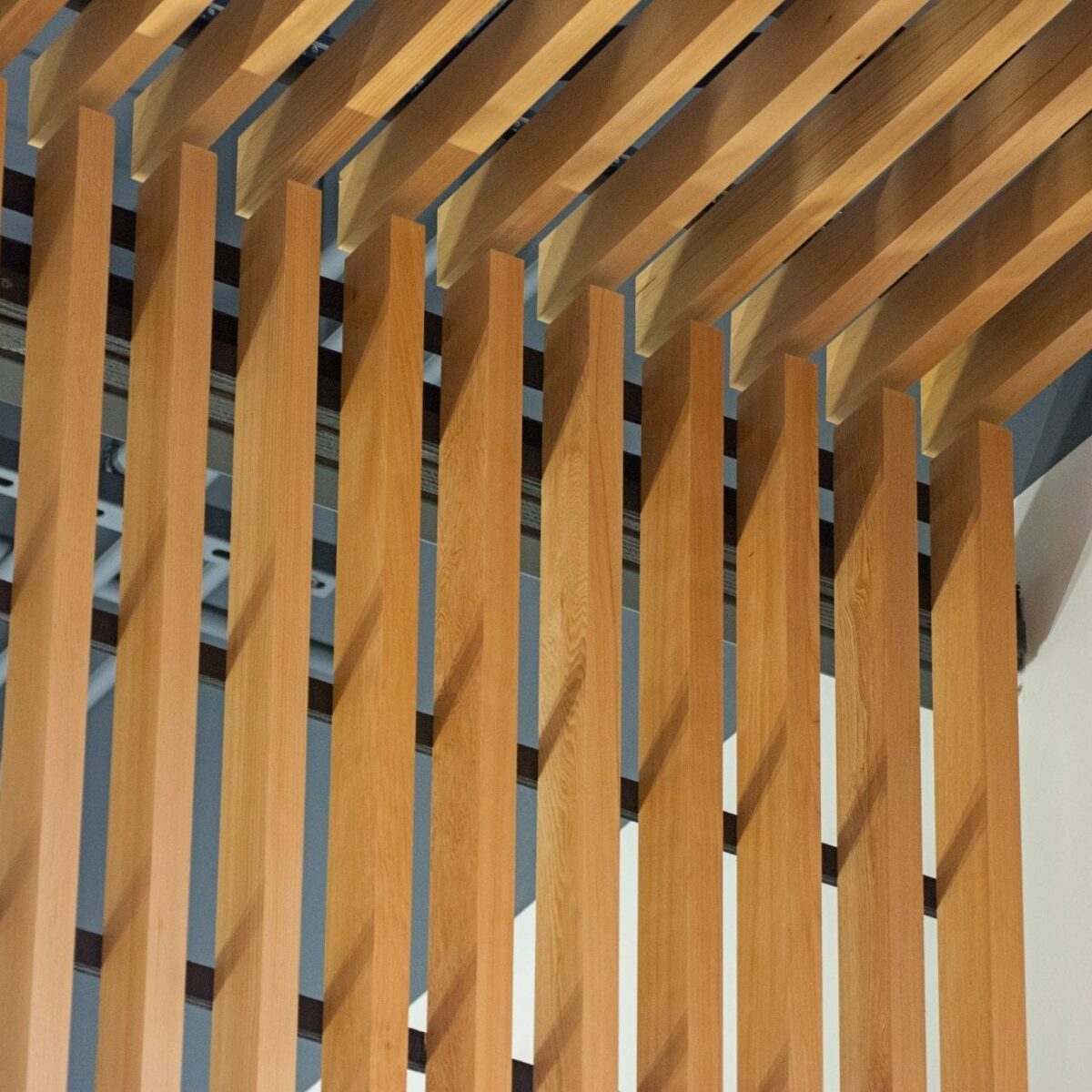 Portland Timbers Training Facility - 9Wood