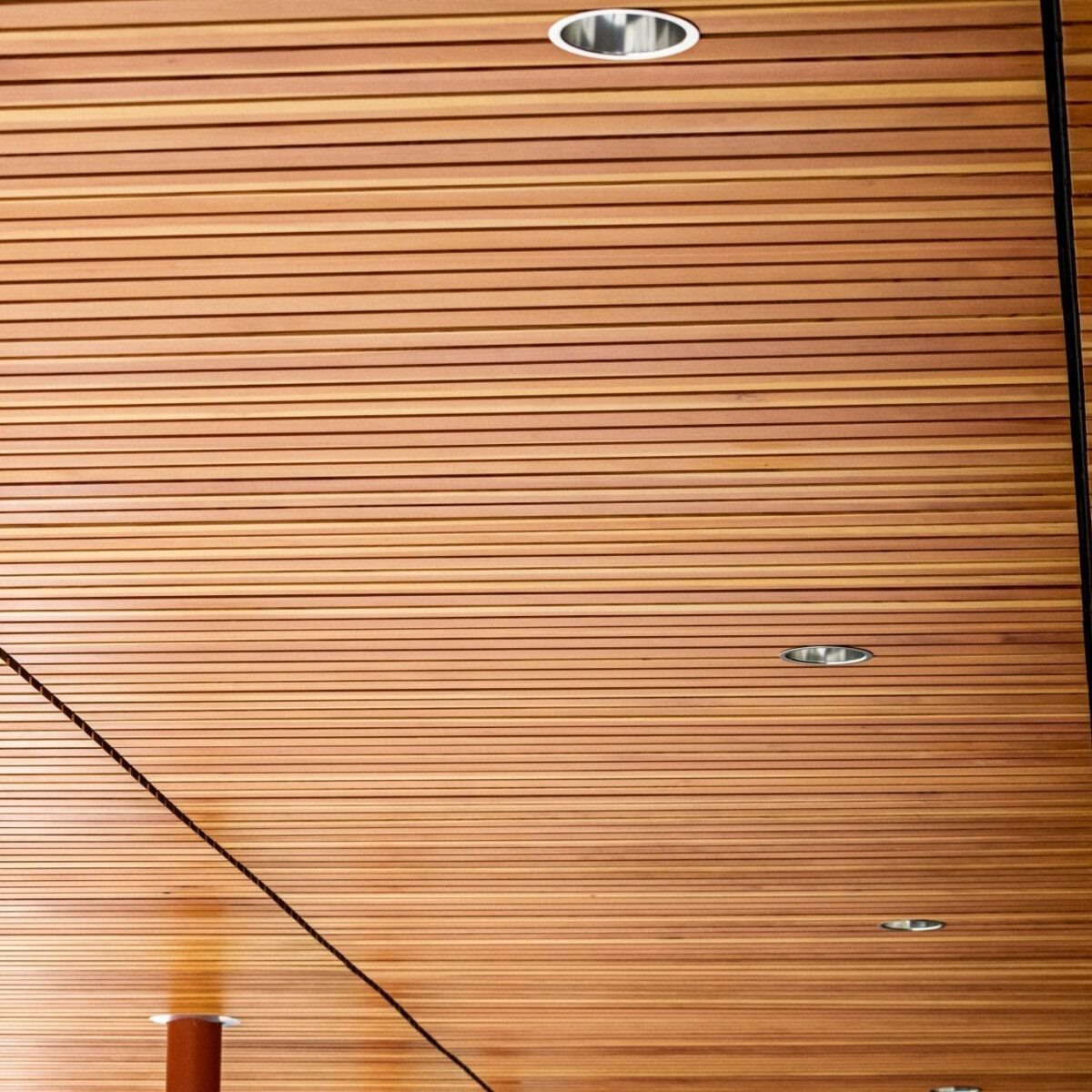 Lone Tree Library - 9Wood